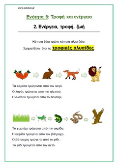 5. ΤΡΟΦΗ ΚΙ ΕΝΕΡΓΕΙΑ | ΜΕΛΕΤΗ ΠΕΡΙΒΑΛΛΟΝΤΟΣ | Γ' ΤΑΞΗ