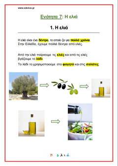 7. Η ΕΛΙΑ | ΓΛΩΣΣΑ | Δ' ΤΑΞΗ