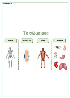 5. ΓΝΩΡΙΖΟΥΜΕ ΚΑΙ ΠΡΟΣΕΧΟΥΜΕ ΤΟ ΣΩΜΑ ΜΑΣ | ΜΕΛΕΤΗ ΠΕΡΙΒΑΛΛΟΝΤΟΣ | Δ' ΤΑΞΗ