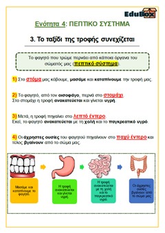 4. ΠΕΠΤΙΚΟ ΣΥΣΤΗΜΑ | ΦΥΣΙΚΗ | Ε’ ΤΑΞΗ