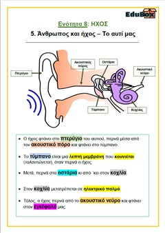 5. ΑΝΘΡΩΠΟΣ ΚΑΙ ΗΧΟΣ- ΤΟ ΑΥΤΙ ΜΑΣ | EduBox